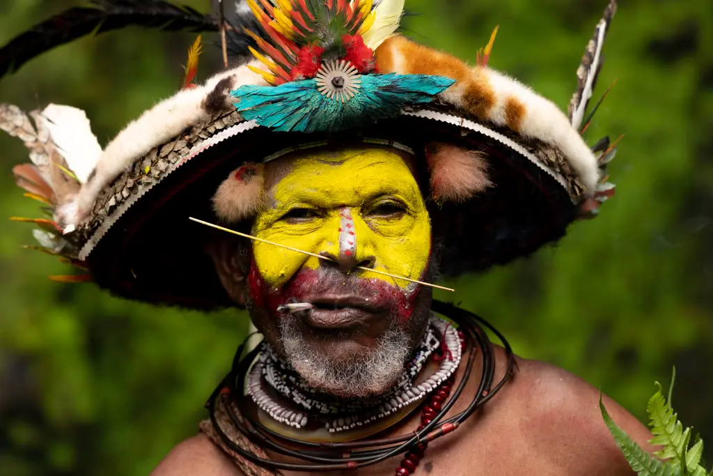 Huli Wigmen Tribal Costume: Papua New Guinea’s Iconic Symbol