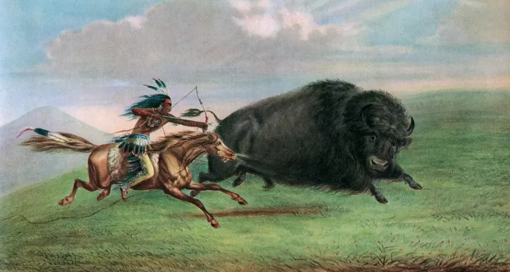 The Use of Bison Hides in Plains Indian Clothing